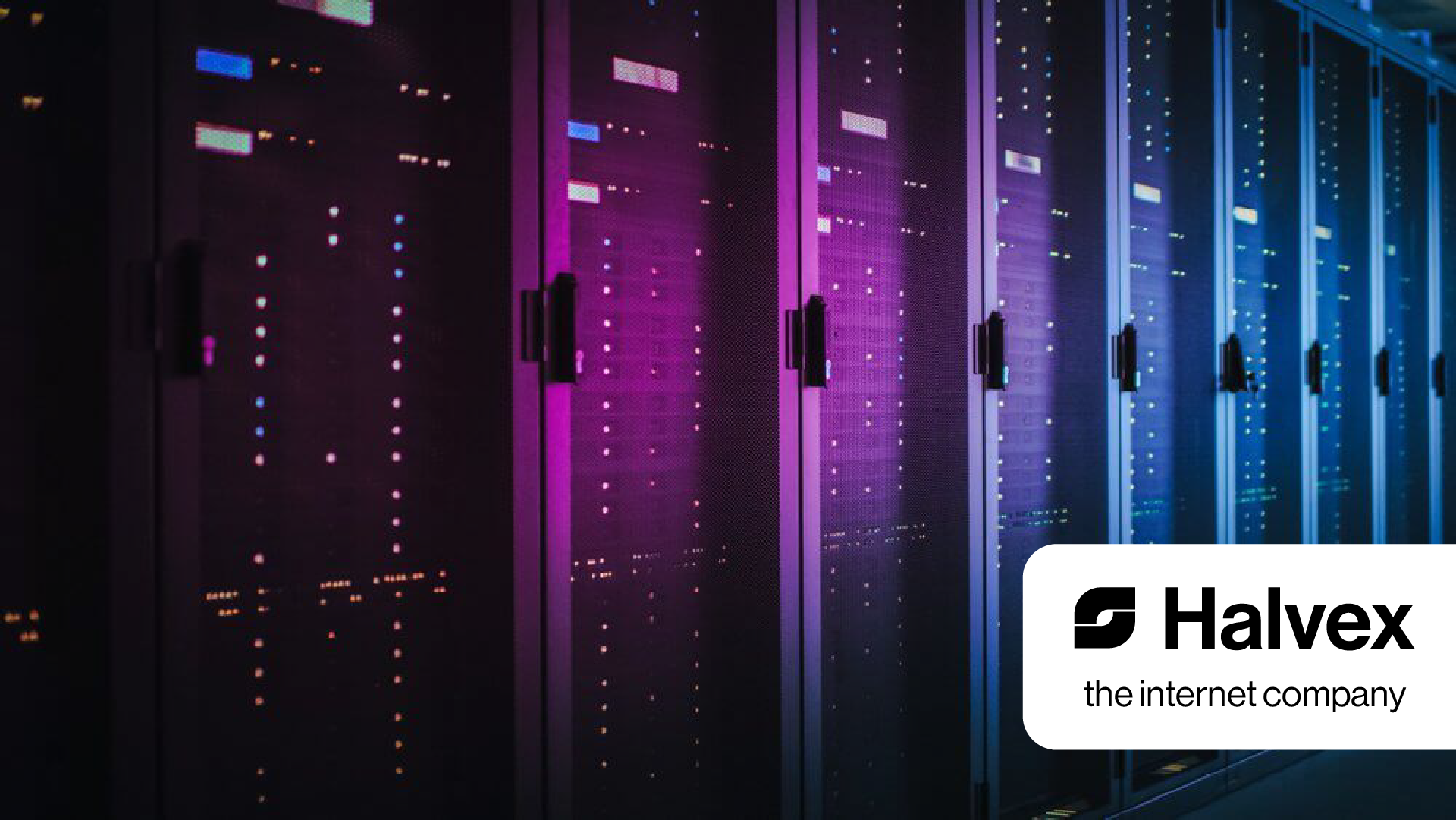 Halvex - The Internet Company